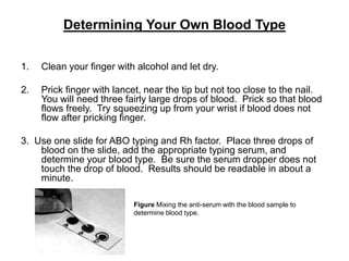 Blood grouping | PPT