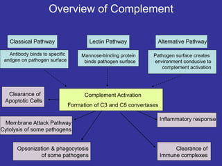 4_2019_04_08!09_43_22_PM.ppt