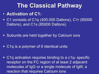 4_2019_04_08!09_43_22_PM.ppt