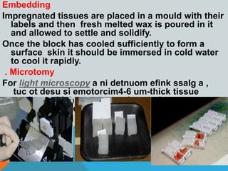 Histological Techniques | PPTX