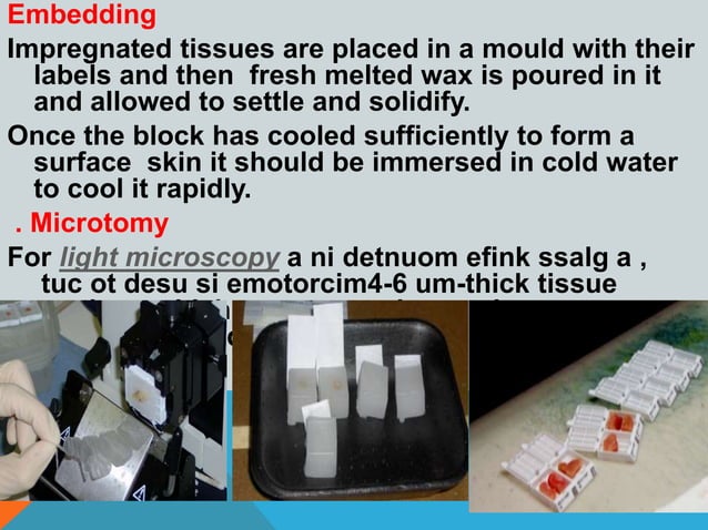 Histological Techniques | PPTX | Chemistry | Science