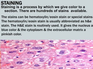 Histological Techniques | PPTX