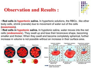 Osmotic fragility test pathology... .ppt