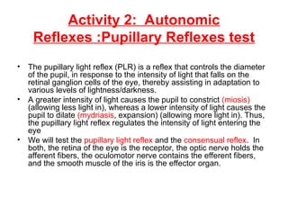 Nervous system reflexes and superficial senses | PPT