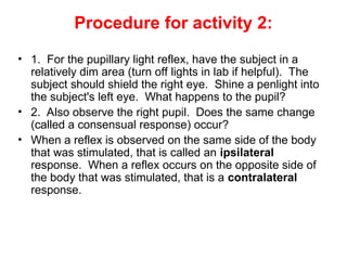 Nervous system reflexes and superficial senses | PPT
