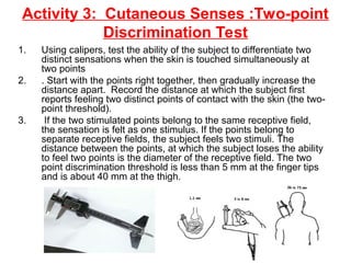 Nervous system reflexes and superficial senses | PPT