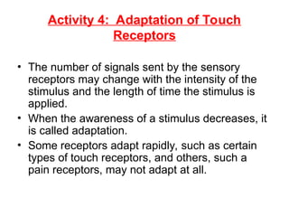 Nervous system reflexes and superficial senses | PPT