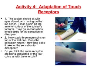 Nervous system reflexes and superficial senses | PPT