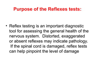 Nervous system reflexes and superficial senses | PPT