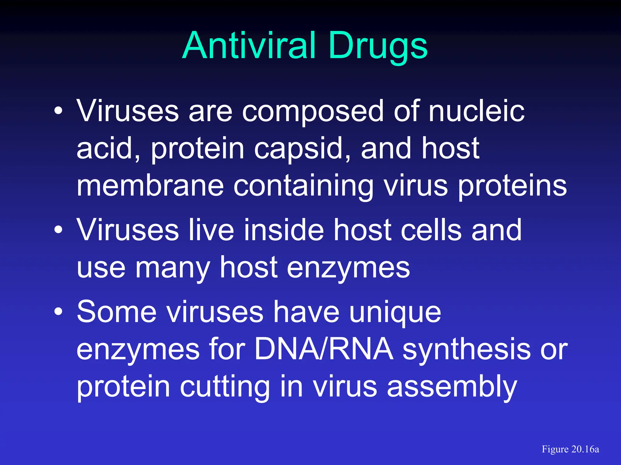 Antimicrobial Drugs | PPT