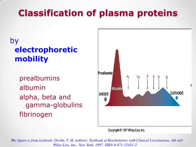 Plasma proteins and their uses, how they are seen | PPT
