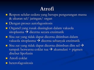 42056914-Cedera-Dan-Kematian-Sel.ppt