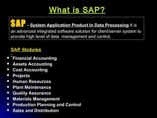 Presentation on SAP Data | PPT