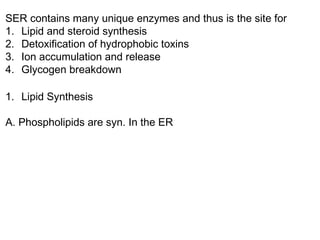 Protein Glycosylation , mechanism and structure | PPT