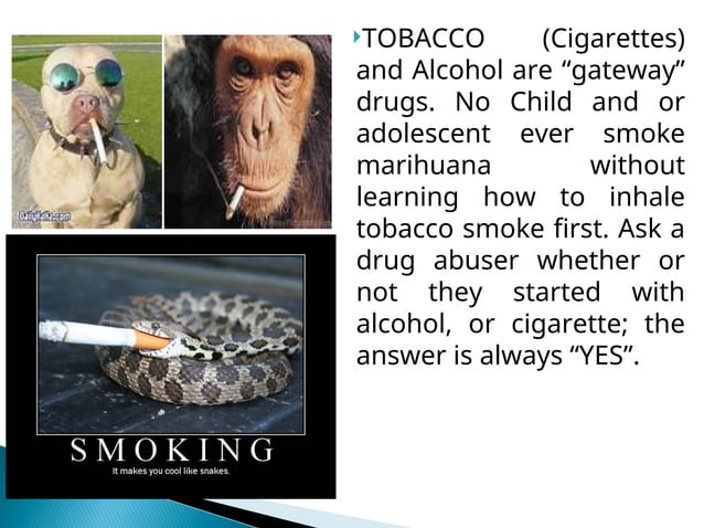 421142844wrtet45y-Drug-Educ-Vice-Control.ppt