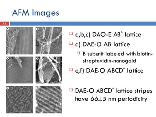 DESIGN AND SELF-ASSEMBLY OF TWO-DIMENSIONAL DNA CRYSTALS | PPT