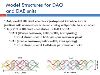 DESIGN AND SELF-ASSEMBLY OF TWO-DIMENSIONAL DNA CRYSTALS | PPT