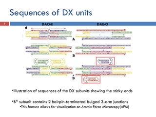 DESIGN AND SELF-ASSEMBLY OF TWO-DIMENSIONAL DNA CRYSTALS | PPT
