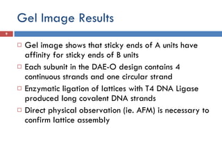 DESIGN AND SELF-ASSEMBLY OF TWO-DIMENSIONAL DNA CRYSTALS | PPT
