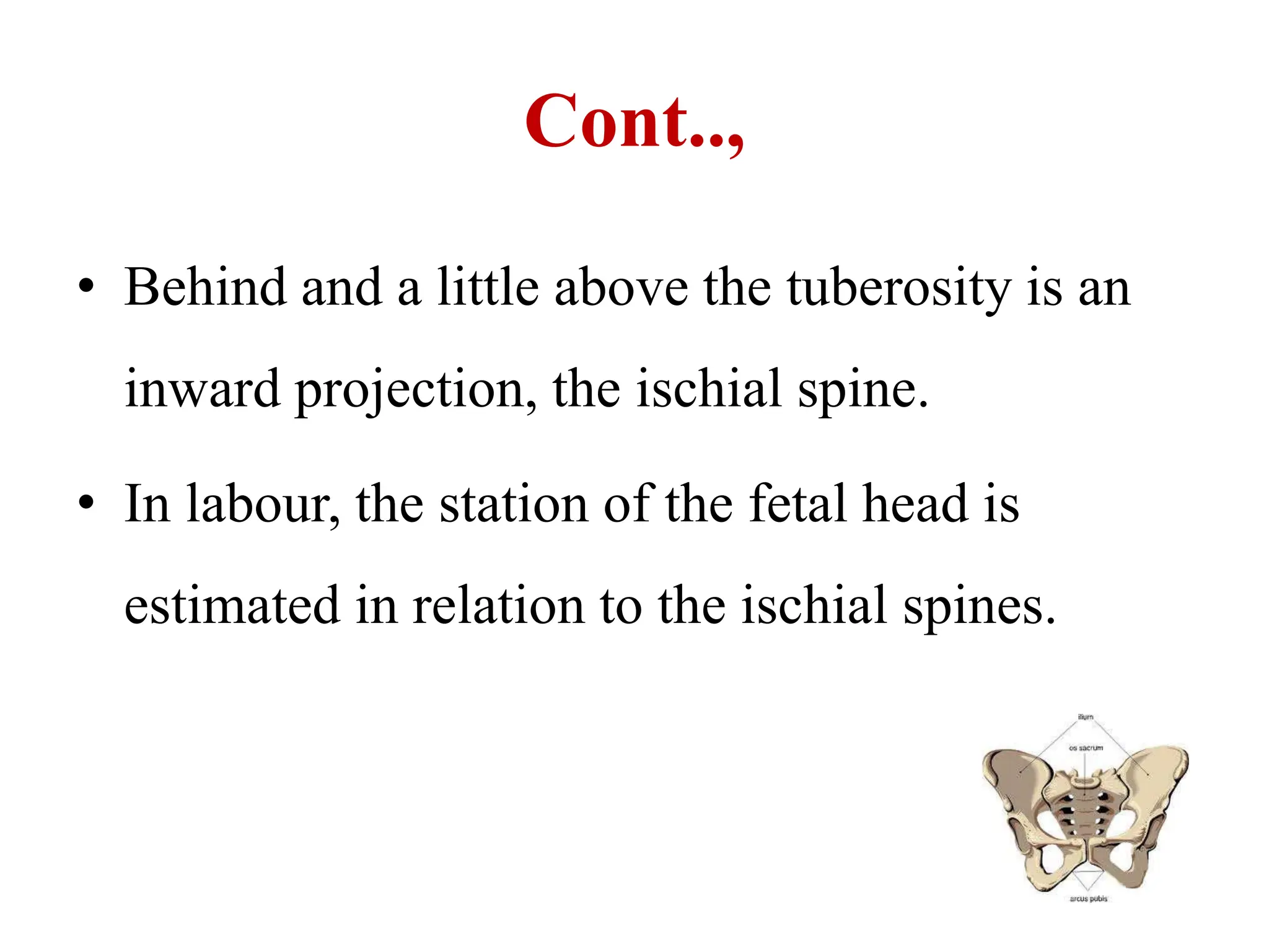 422675304-1-Female-pelvis-pppppppppppppppppppptx.nnpptx | PPTX