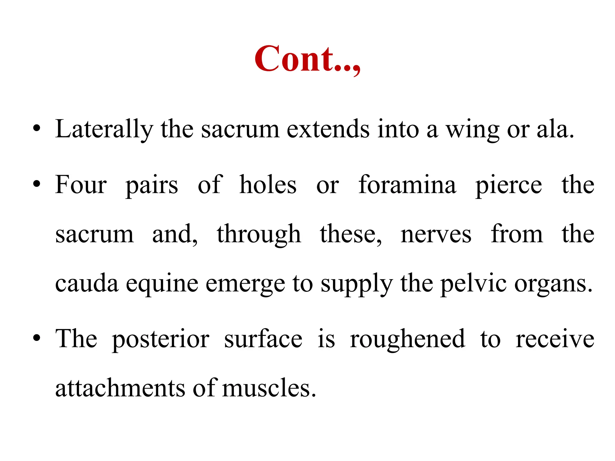 422675304-1-Female-pelvis-pppppppppppppppppppptx.nnpptx | PPTX