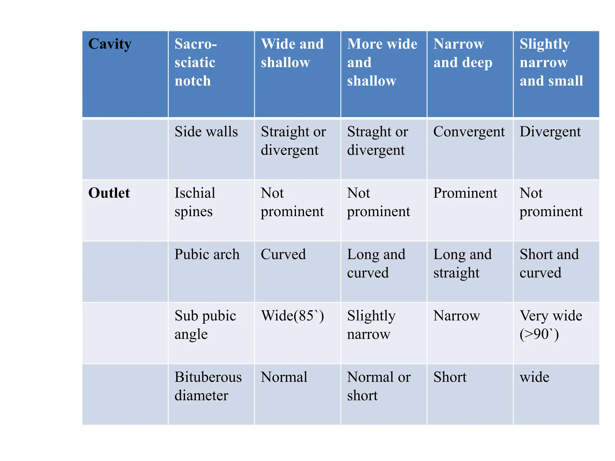 422675304-1-Female-pelvis-pppppppppppppppppppptx.nnpptx | PPTX