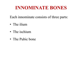 422675304-1-Female-pelvis-pppppppppppppppppppptx.nnpptx | PPTX ...