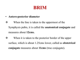 422675304-1-Female-pelvis-pppppppppppppppppppptx.nnpptx | PPT