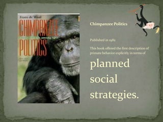 422 chimpanzee politics | PPTX | Zoos & Aquariums | Attractions
