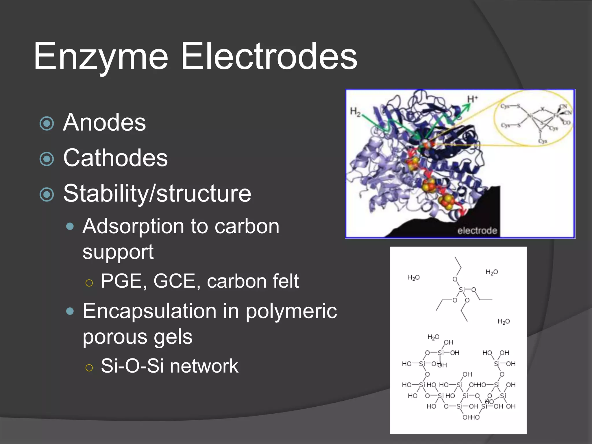 biohydrogen & hydrogenase presentation | PPTX