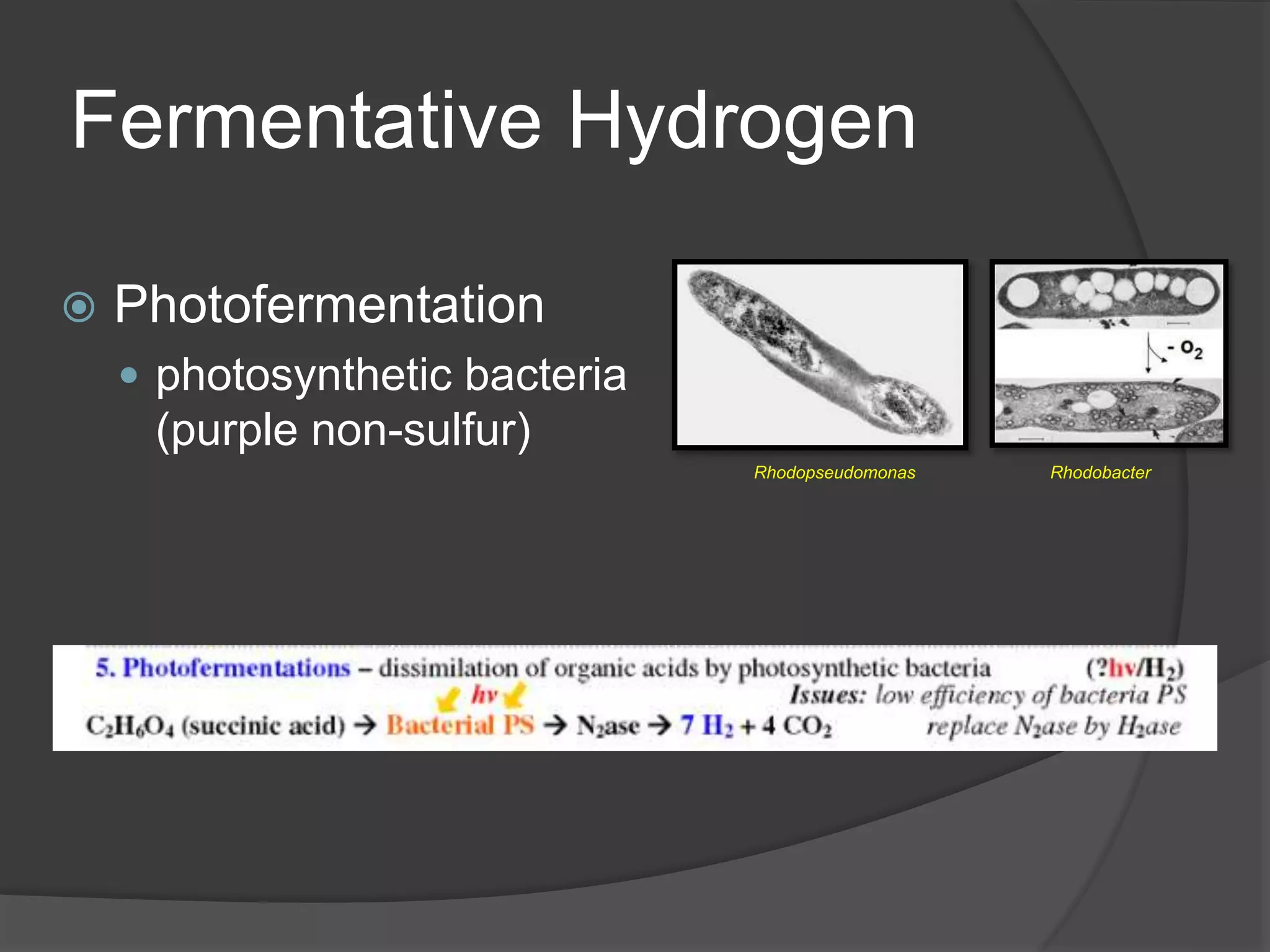 biohydrogen & hydrogenase presentation | PPTX
