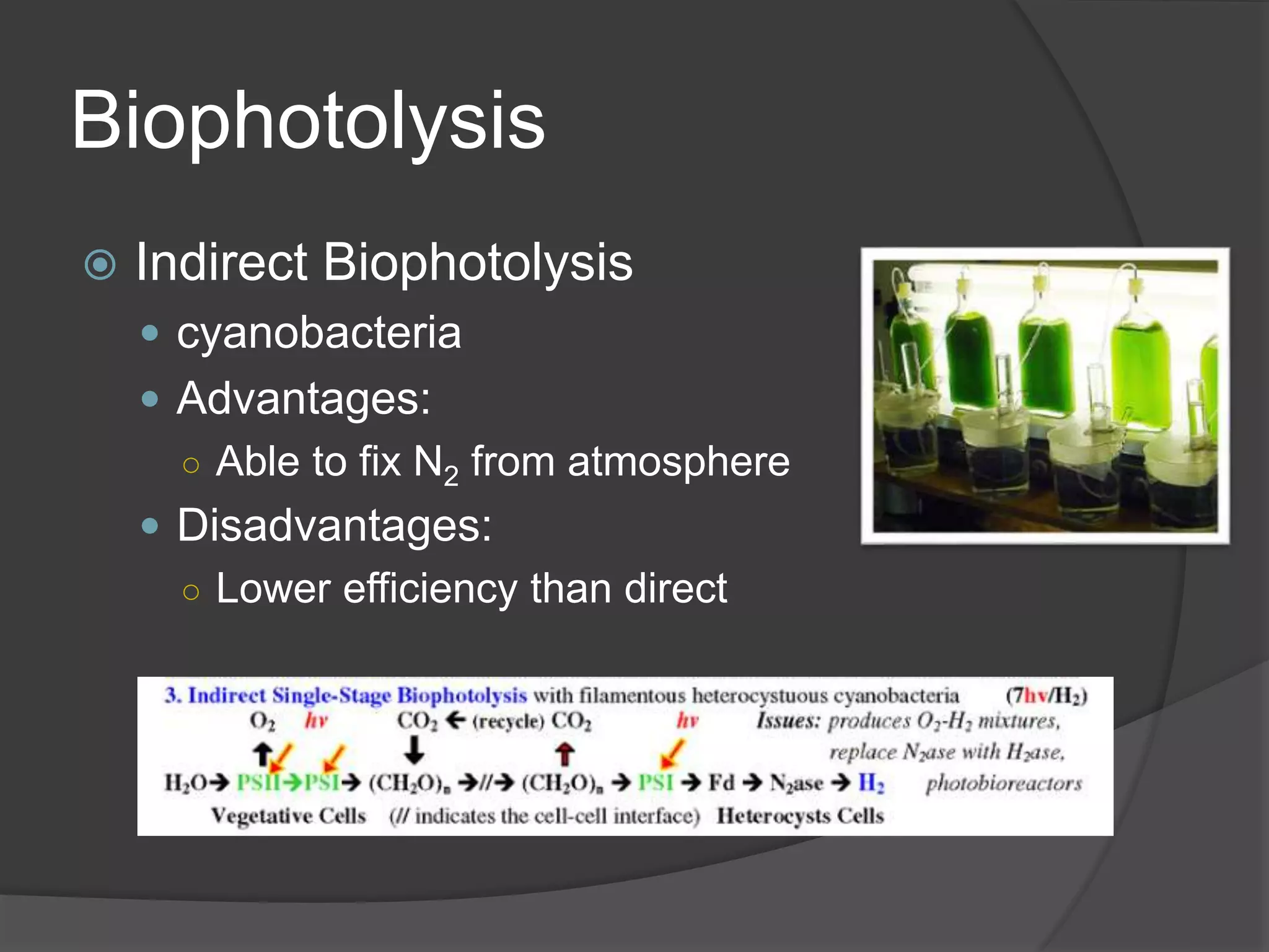 biohydrogen & hydrogenase presentation | PPTX