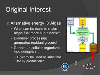 biohydrogen & hydrogenase presentation | PPTX