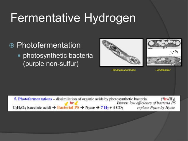 biohydrogen & hydrogenase presentation | PPTX | Chemistry | Science