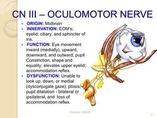 Cranial-nerves and their assignments ... | PDF