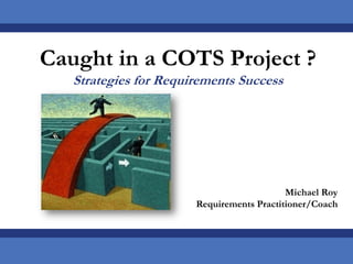 Caught in a COTS Project - Strategies for Requirements Success ...