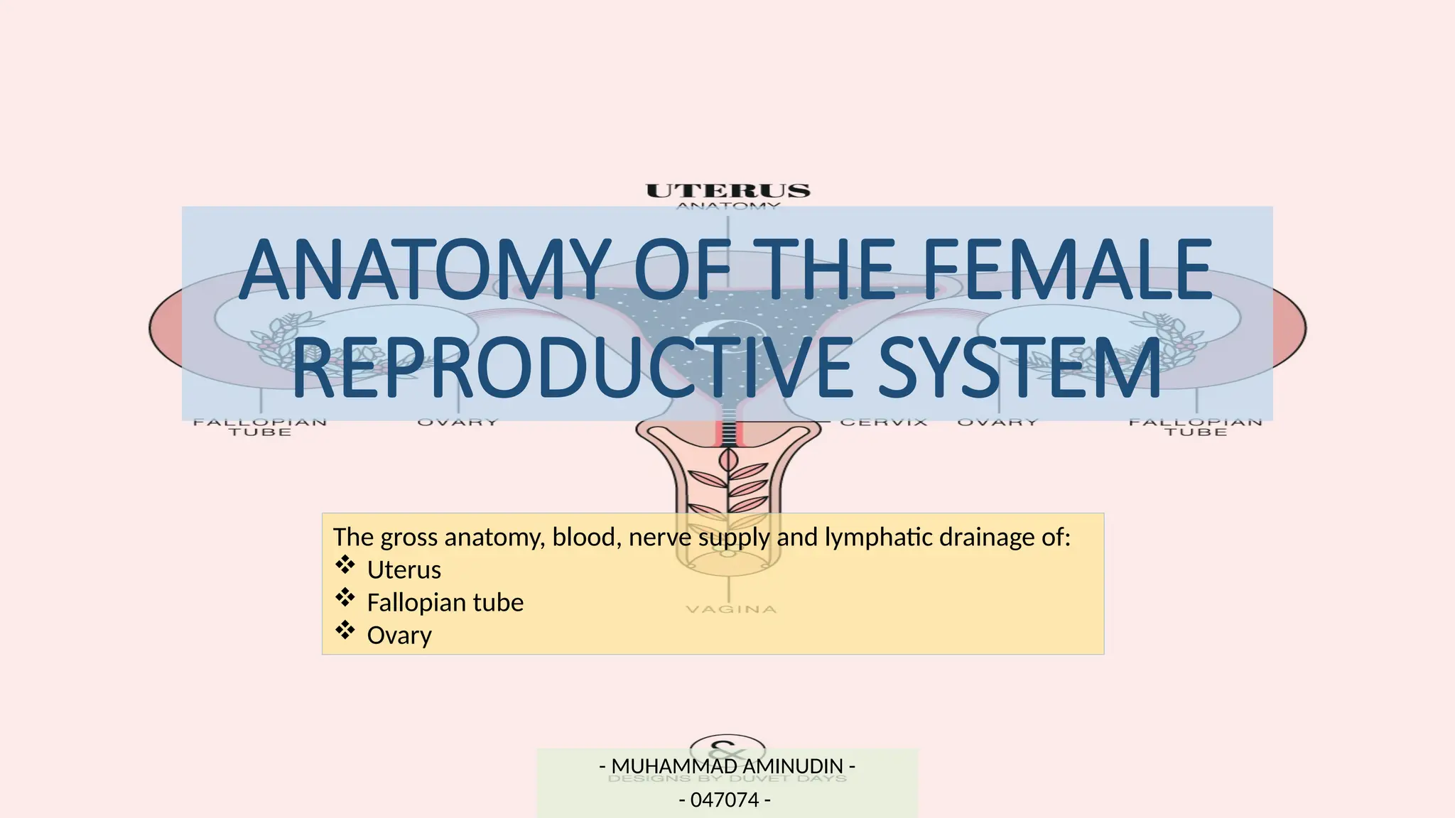 423864759-Anatomy-of-female-reproductive-system.pptx
