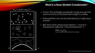 BOSE-EINSTEIN CONDENSATTION-FLIERL(FINAL COPY) | PDF