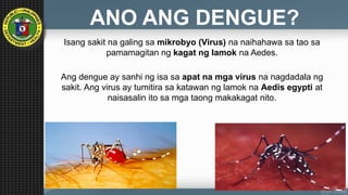 424570922-Dengue-Presentation-Tagalog.pptx