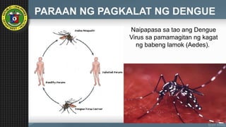424570922-Dengue-Presentation-Tagalog.pptx