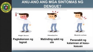 424570922-Dengue-Presentation-Tagalog.pptx