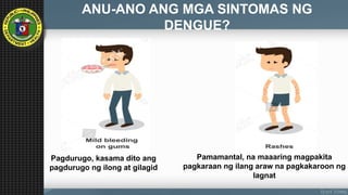 424570922-Dengue-Presentation-Tagalog.pptx