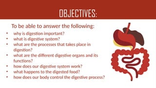 424595509-Digestive-System-PowerPoint.pptx