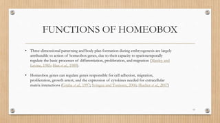 HOMEOBOX GENE | PPTX