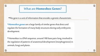 HOMEOBOX GENE | PPTX