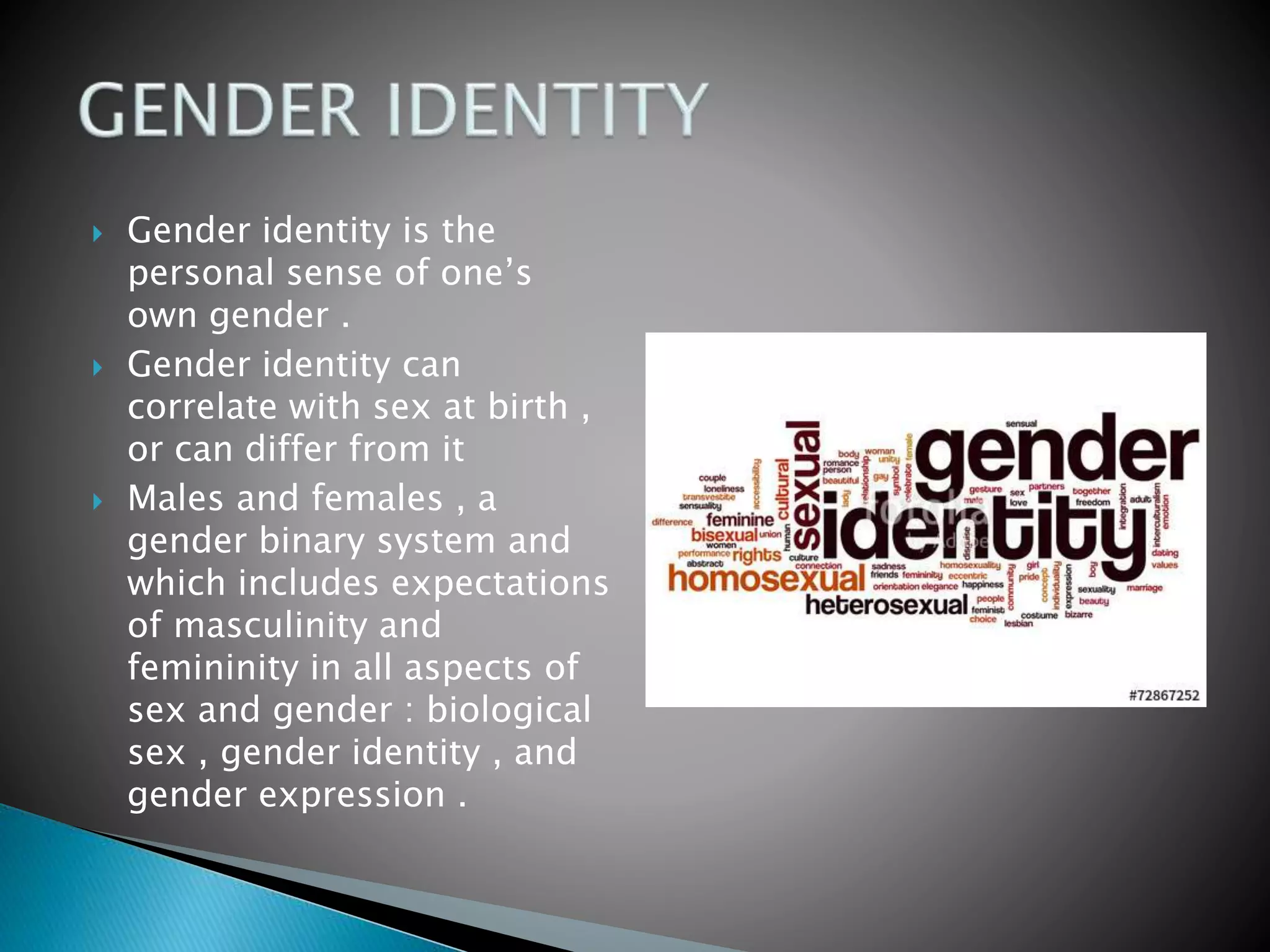 GENDER ROLES & STEREOTYPES | PPTX