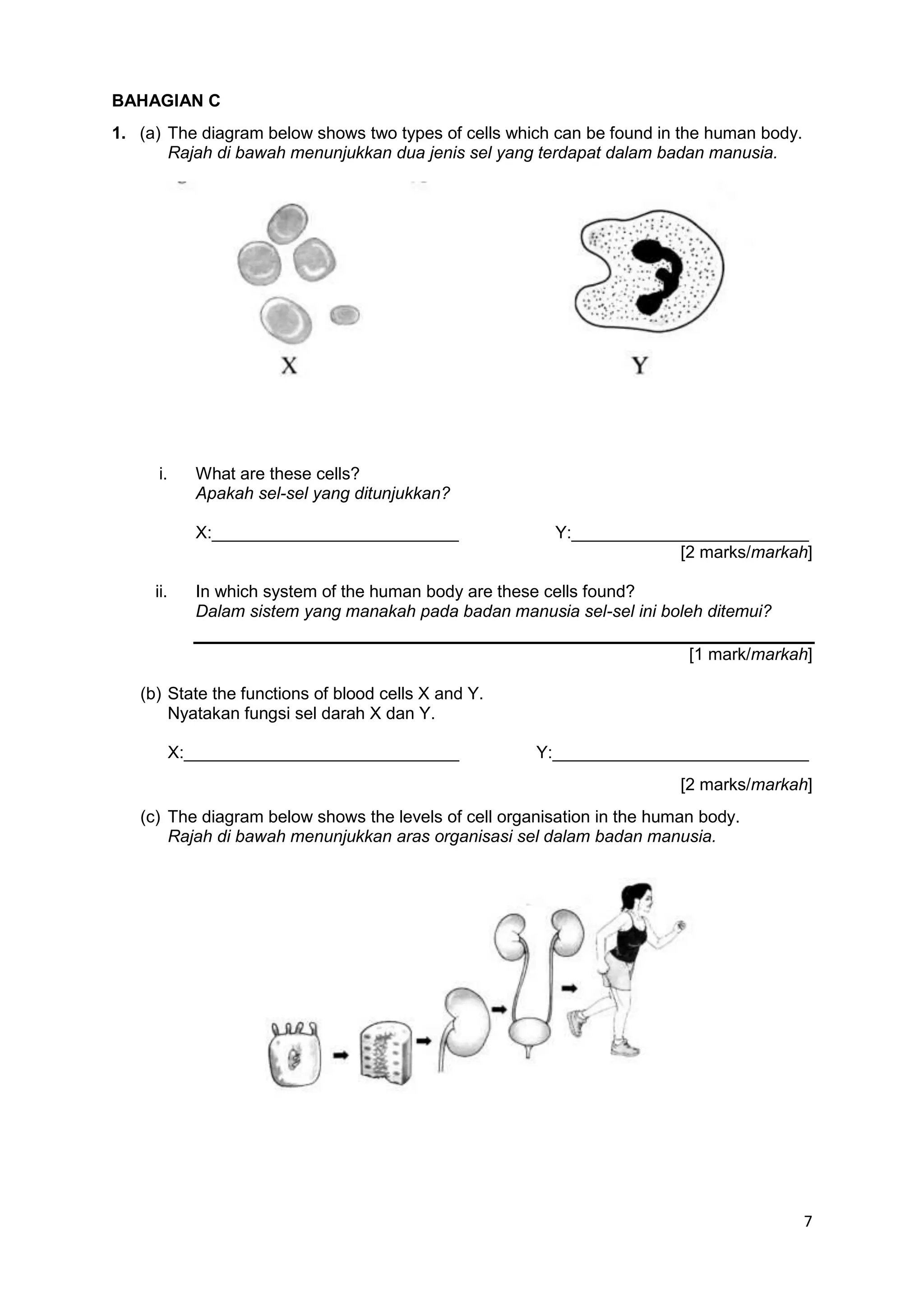 425764250-Koleksi-Soalan-Sains-Tingkatan-1-KSSM.docx
