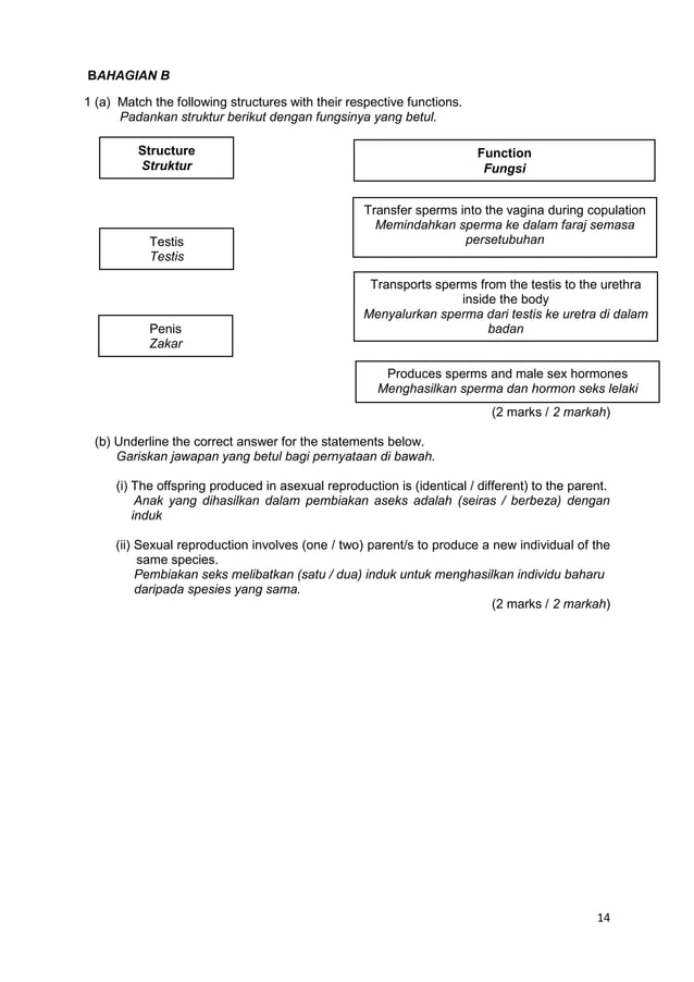 425764250-Koleksi-Soalan-Sains-Tingkatan-1-KSSM.docx