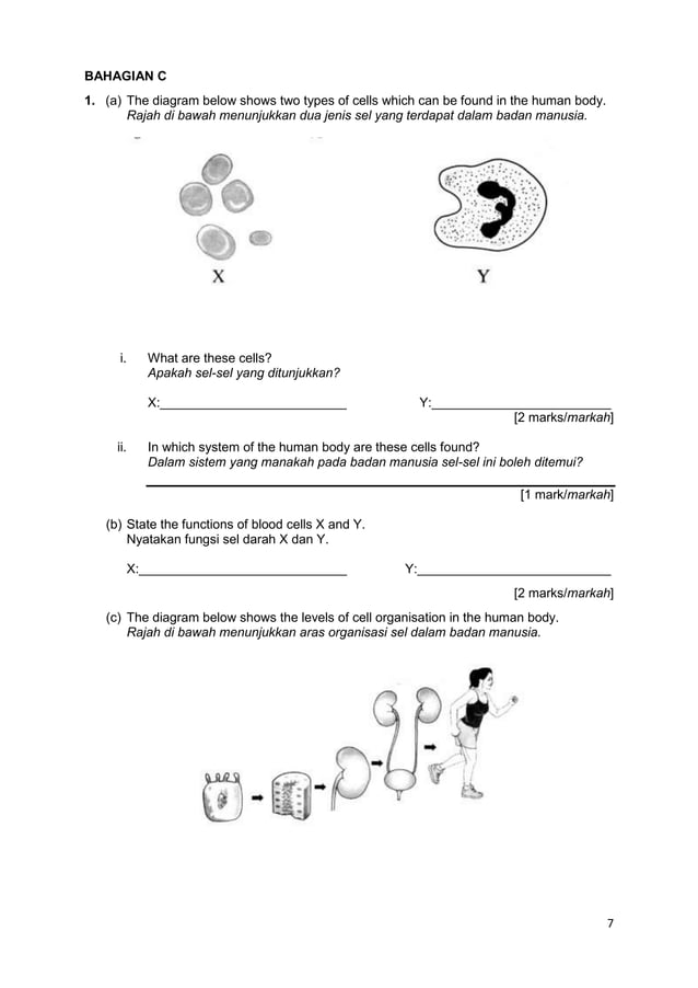 425764250-Koleksi-Soalan-Sains-Tingkatan-1-KSSM.docx