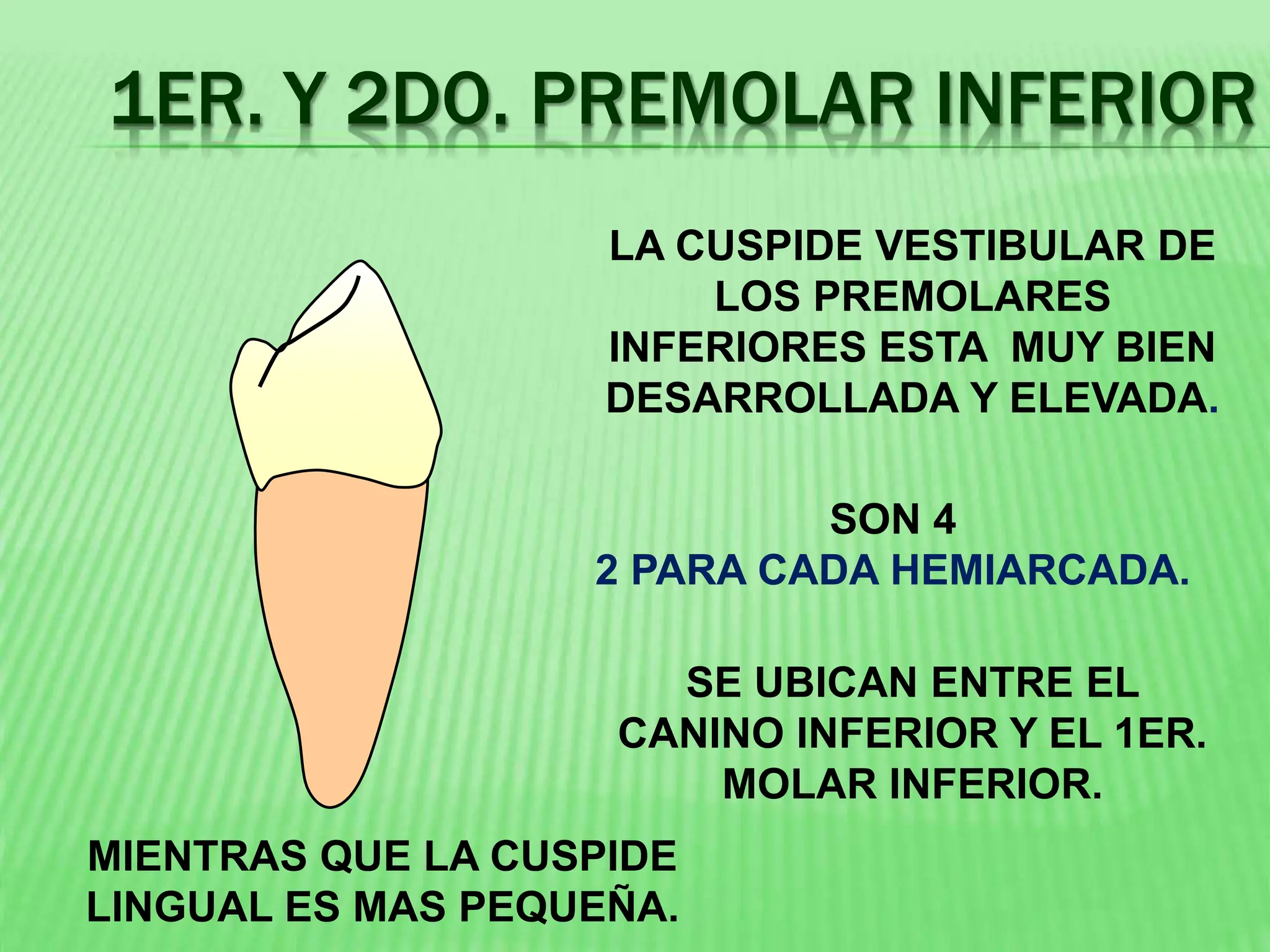 425775462-Grupo-Premolar guía superior y inferior .pptx